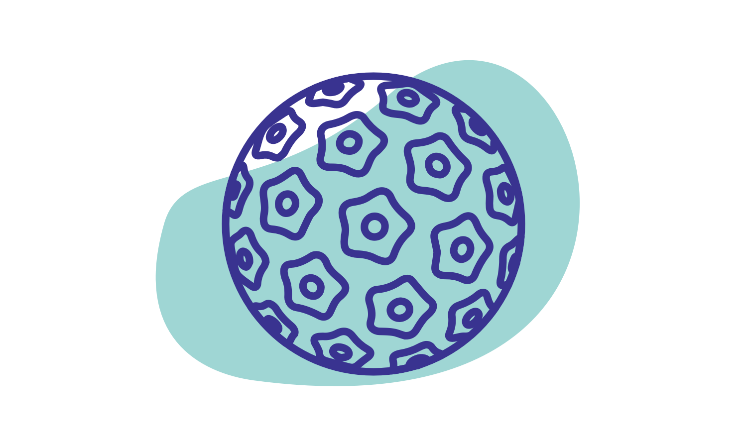 ¿Sabías que...? Especial ITS: Virus del Papiloma Humano (VPH) • Enclave ...